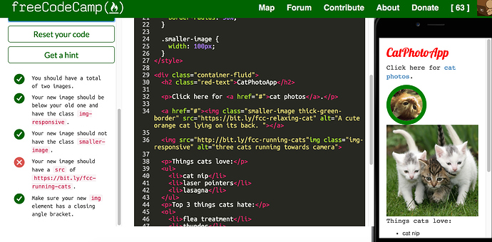 Freecodecamp Challenge Guide Make Images Mobile Responsive Guide Freecodecamp Forum