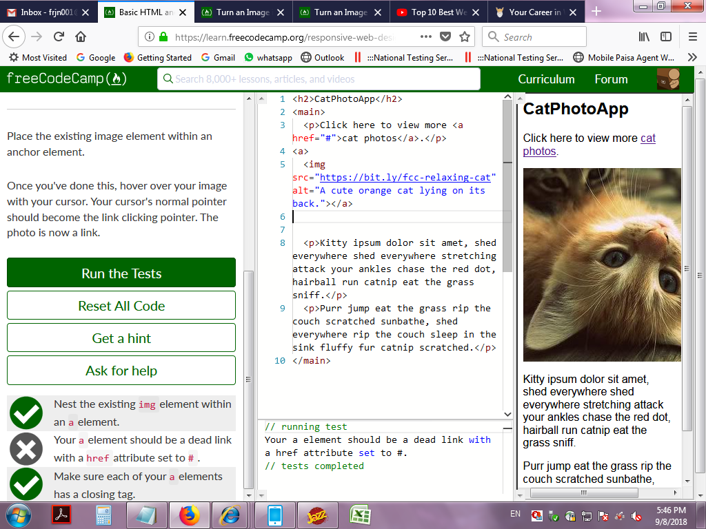 Turn An Image Into A Link HTML CSS The FreeCodeCamp Forum